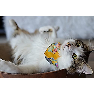 Necoichi Bandana Cat Collar with Air Tag Pocket (Yukata Yellow)