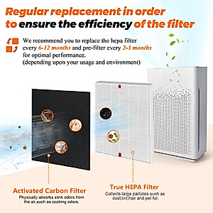 C545 HEPA Replacement Filter S for Winix C545 Air Purifier by Blutoget - Winix C545 Replacement Filter Replaces Winix S Filter 1712-0096-00,2522-0058-00,2 H13 True HEPA & 8 Activated Carbon Filters