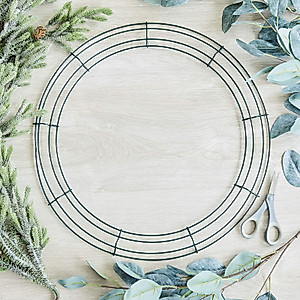 Ashland 12" Metal Wreath Hoop