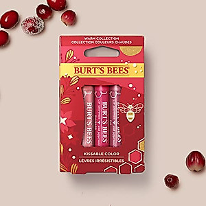 Burts Bees Kissable Color Warm Gift Set, 1 EA