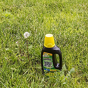 Spectracide Weed Stop For Lawns Concentrate2