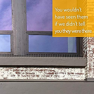 Bird Barrier Dura-Spike Stainless Steel Bird Spikes | Metal Pin Strips for Ledge, Roof, Pipe - Adhesive Included - Xtra Wide (8 in) 25 Ft. Length