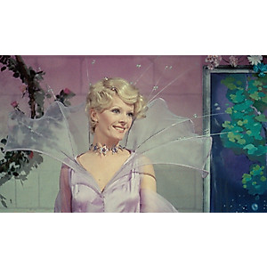 The Essential Jacques Demy (Lola, Bay of Angels, The Umbrellas of Cherbourg, The Young Girls of Rochefort, Donkey Skin, Une chambre en ville) (The Criterion Collection)