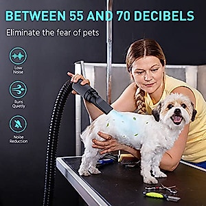 Dog-Blow-Dryer, 4.3HP/3200W Pet Grooming Dryer with Adjustable Speed and Temperature Control Pet Dryer, Dog Hair Dryer with 4 Nozzle