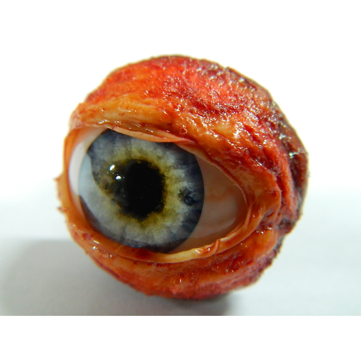 Dead Head Props Realistic Life Size Human/zombie Eyeball Ring with Eye Lids for Halloween, Cos Play (Infected Blue 26mm)