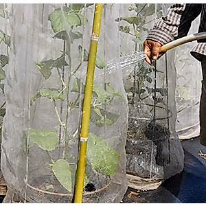 Garden Netting Pest Barrier: 4'x10'(2 Pack) Fine Bug Netting for Garden Protection Row Cover Raised Bed Screen Mesh Greenhouse Mosquito Net, Protecting Tree Plants Vegetable Flowers Fruits