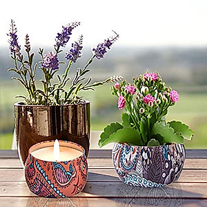 Scented Candle Set Gift for Women,12 Pack Aromatherapy Candles,Soy Wax Candle with Strong Fragrance, 2.5 Oz Jar Candle Set Long Last 180-240 Hours,Gift for Christmas Valentine's Day Decoration