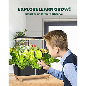 RAINPOINT Indoor Hydroponics Growing System,13 Pods Hydroponic Garden Planter, Vegetable Growing System Kit, Kitchen Christmas Gifts for Women, Hydro Garden Herb Grower