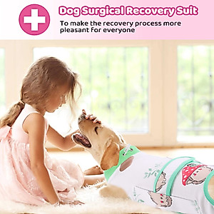 KOESON Dog Recovery Suit, Spay Suit for Female Dogs with Pee Hole Pet Surgical Recovery Suit Dog Cone Alternative, Dog Surgery Recovery Suit Anti Licking Pet Bodysuit for Abdominal Wound Hedgehog XS