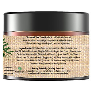 Chamuel Tea Tree Body & Foot Scrub - 100% Natural Exfoliating Body Scrub with Dead Sea Salt, Plant-based Stem Cells, Ginger & Essential Oils– Rejuvenates & Soothes Dead & Dry Skin (15.1oz)