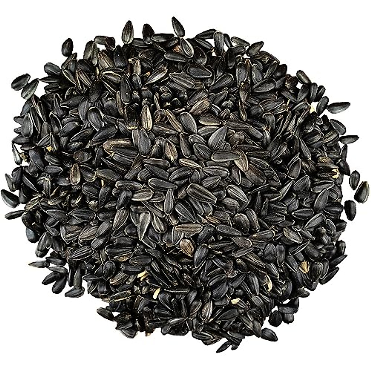 Bird Pro Black Oil Sunflower Seeds (4 lb.)