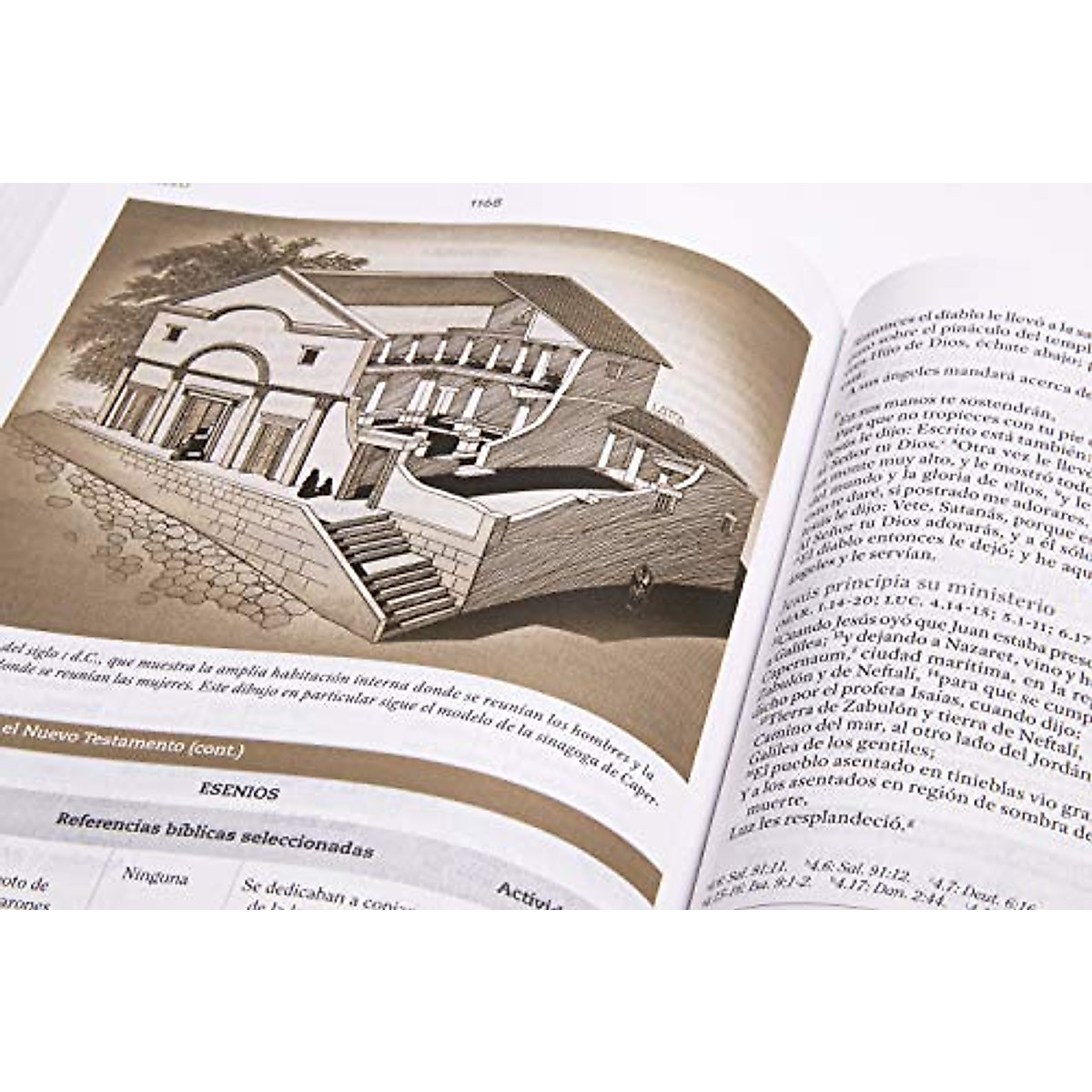 Biblia Reina Valera 1960 de Estudio para Mujeres, Tapa dura | RVR 1960 Women Study Bibl, Hardcover (Spanish Edition)