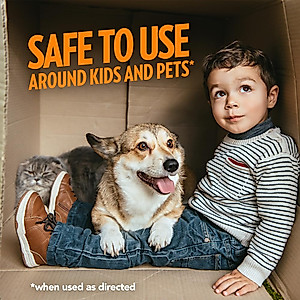 OUT! PetCare Orange Oxy Stain & Odor Remover | Oxy Clean Pet Stain and Odor Eliminator | 32 oz