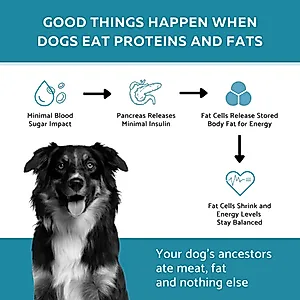 Ketona Chicken Recipe Adult Dry Dog Food, Natural, Low Carb (Only 5%), High Protein (46%), Grain-Free, The Nutrition of a Raw Diet with The Cost and Convenience of a Kibble; 24.2lb