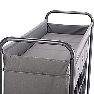 BirdRock Home 16 Cubby Shoe Rack Organizer with 4 Drawers - Grey - Free Standing Cabinet for Closet - Sturdy Metal Frame - Space Saver - Bedroom Organization