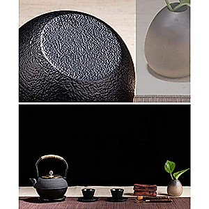 tetsubin Cast iron tea kettle japanese workshop teapot hobnail pattern with Stainless Steel Infuser【20 oz black】