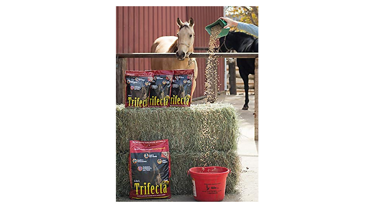 Trifecta 10 lb: All-in-One Equine Supplement