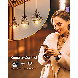 Linkind Smart Edison Bulbs, WiFi LED E26 Edison Bulbs, Dimmable ST64 Vintage Filament Light Bulb, 45W Equivalent, 2200K Soft White, 350lm, Compatible with Alexa, Google Home, No Hub Required, 4 Pack