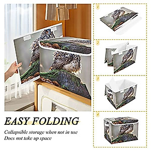 Kigai Storage Basket Cute Owl Storage Boxes with Lids and Handle, Large Storage Cube Bin Collapsible for Shelves Closet Bedroom Living Room, 16.5x12.6x11.8 In