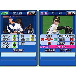 Pro Yakyuu Famista 2011 [Japan Import]