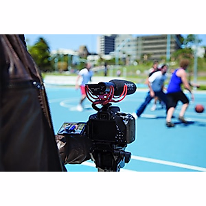 Rode VideoMic Microphone Pack with Rycote Lyre Mount, Boom Pole, Screw Adapter and Extension Cable