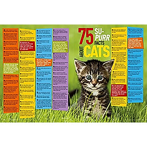 5,000 Awesome Facts (About Everything!) 2