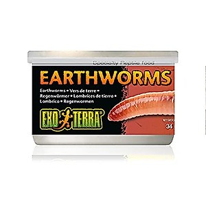 Exo Terra Specialty Reptile Food, Canned Earthworms for Reptiles