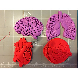 Human Tissue Anatomy Cookie Cutter (Set of 4)