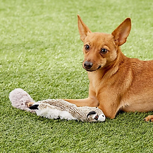 SPOT Skinneeez Stuffless Dog Toy with Squeaker | Plush Tug of War Raccoon Squeak Toy for Small and Large Dog Breeds | Small