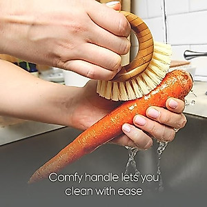 Full Circle The Ring Bamboo Vegetable and Fruit Cleaning Brush - A Versatile Scrubber for Food, Including Potatoes, Mushrooms, and Veggies with Recycled Bristles and Handle