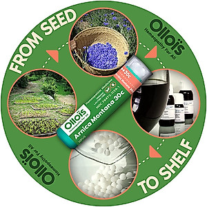 OLLOIS Ruta Graveolens 30c, Organic, Lactose-Free Homeopathic Medicine, 80 Pellets (Pack of 1)