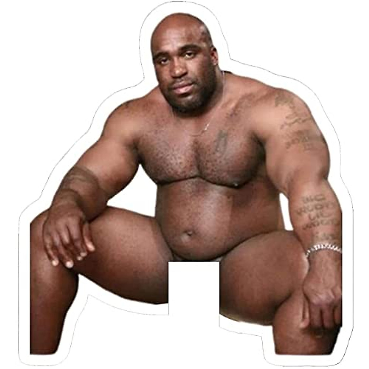 10pcs Funny Barry Wood Light Switch Sticker Decals, Waterproof Vinyl Prank Joking Wall Stickers for Living Room, Car, Laptop Skins, Skateboard, Computer, Tumblers, Phone, Bumper (10Pcs)