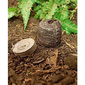 jiffy-7 Peat Pellet 36mm Seed Starting - 200 ea by Growers Solution