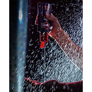 Alpecin C1 Caffeine Shampoo, 8.45 fl oz (Pack of 2) Men's Natural Hair Growth Shampoo for Thinning Hair with Niacin and Castor Oil