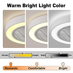 Jinweite Ceiling Fan with Light, 19 inches LED Remote Control Fully Dimmable Lighting Modes Invisible Acrylic Blades Metal Shell Semi Flush Mount Low Profile Fan,White