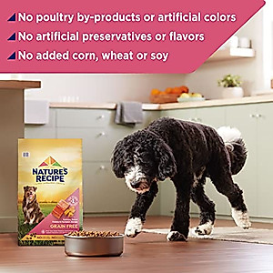 Nature′s Recipe Grain Free Salmon, Sweet Potato & Pumpkin Recipe Dry Dog Food, 4 lb. Bag