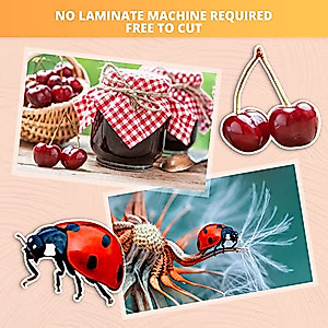 HTVRONT Clear Self-Adhesive Laminating Vinyl Roll-12"x15FT Non Thermal Laminating Film,No Machine Needed Clear Vinyl Laminate for Stickers