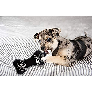 Pets First NFL Las Vegas Raiders Football Dental Tough Dog TUG Bone Toy with Built-in Squeaker Attached to a Safe Rubber Teething Toothbrush PET Toy, Team Color, (OAK-3310), 14 x 5