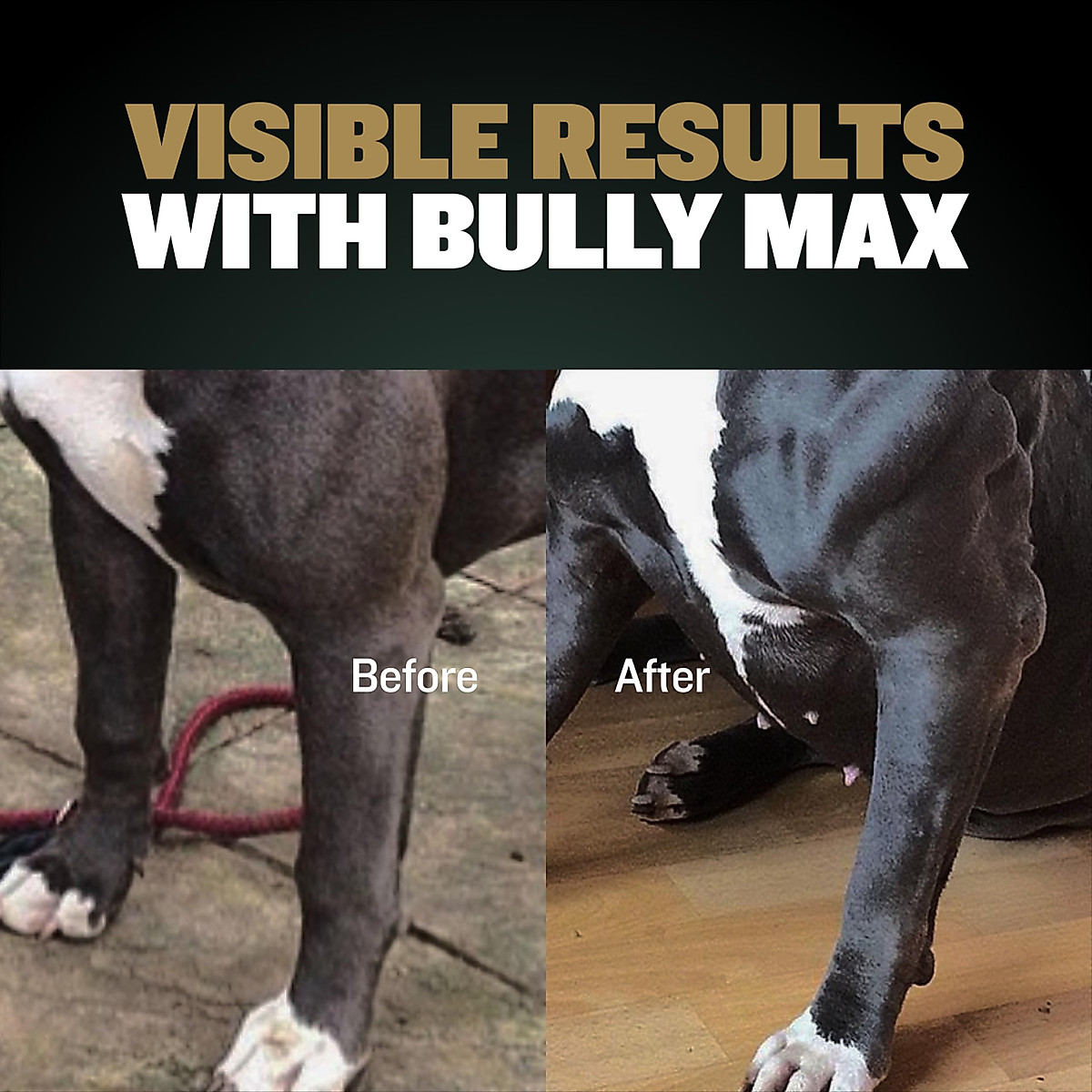 Bully Max Protein Powder for Dogs - Supports Muscle Building & Muscle Gain for Dogs of All Ages - 368 Grams