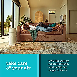 Homedics 5-in-1 PetPlus UV-C Air Purifier - 360-Degree HEPA Filter for 266 Sq Ft, Air Purifiers for Pets, Bedroom, and Home with Essential Oil Pads and Built-In Timer, 3 Speed Settings, White