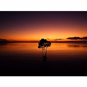 Ricoh WG-70 Black Waterproof Digital Camera 16MP