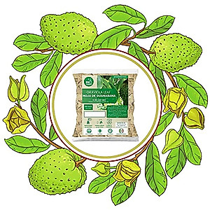 Yerbero - Hoja De Guanabana Entera ( .75 oz - 22gr ) Whole Dried Graviola Soursop Guanabana Leaves, Organic Whole Leaf ,100% All Natural Delicious| 20+ Servings | From Mexico | Premium Wildcrafted Quality.