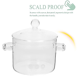 DOITOOL Glass Noodle Bowl Soup Bowl with Lid Handle Ramen Pot Hot Shin Ramyun Pot Mixing Bowl Salad Bowl for Noodles Soup Cereals Fruits 1350ml