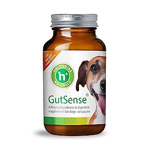 Dr. Dobias - GutSense, Advanced Prebiotic & Probiotics for Dogs, Canine-Specific Dog Probiotics, Dog Supplement for Healthy Digestion, Good Bowel Movement & Immune System, Pet Supplies, 60 Capsules