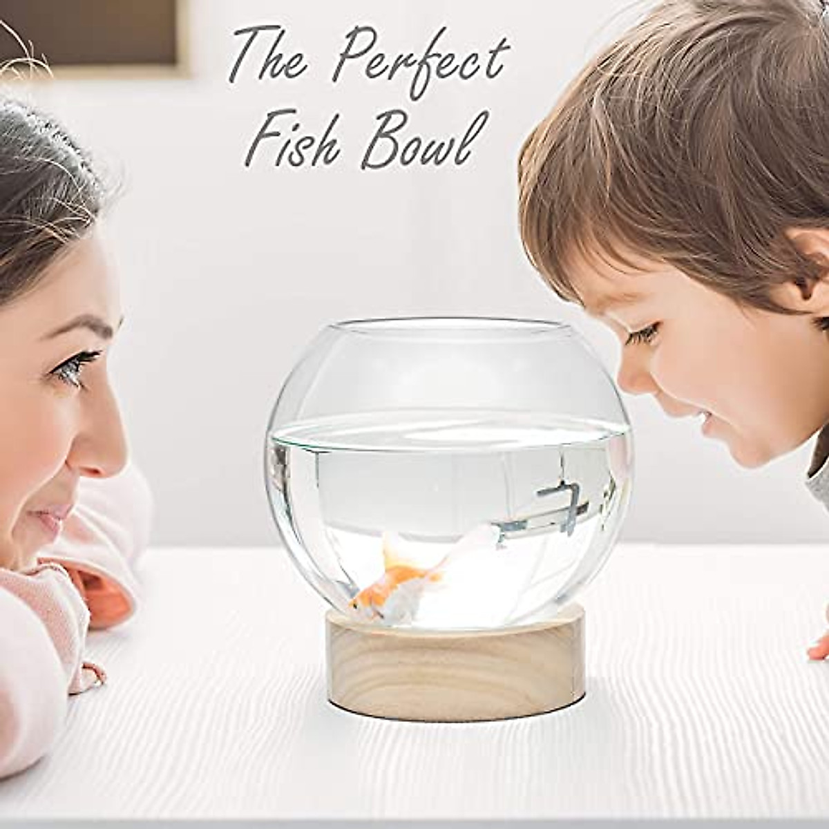 CYS EXCEL Glass Terrarium Candle Holder Bubble Bowl with Wood Base (H:8" W:6.5") | Unique Fish Bowl Aquarium with Wooden Stand | Plant Bubble Dome | Candy Bowl Storage Container
