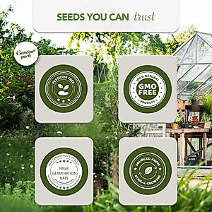 Garden Pack 20 Herb Seeds Variety Pack - 14,000 Non GMO Herb Seeds for Planting - Garden Seeds for Your Own Herb Garden