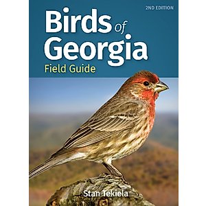 Birds of Georgia Field Guide (Bird Identification Guides)