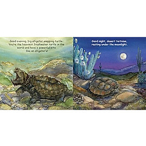 Good Night Turtles (Good Night Our World)