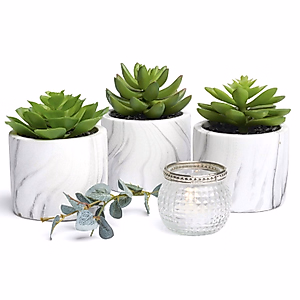 Kurrajong Farmhouse Artificial Succulent Plants in pots | Mini Fake Plant for Shelves | Artificial Plants for Home Decor Indoor | Succulent Plants Artificial | Mini Plant Decor | Small Faux Plants