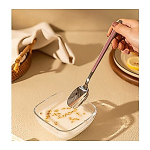 Spoons Soup Spoon Stainless Steel Spoon Household Soup Spoon Long Handle Rice Spoon Durable Delicate Bright Spoon Teaspoon (Color : Bigblue Mug)